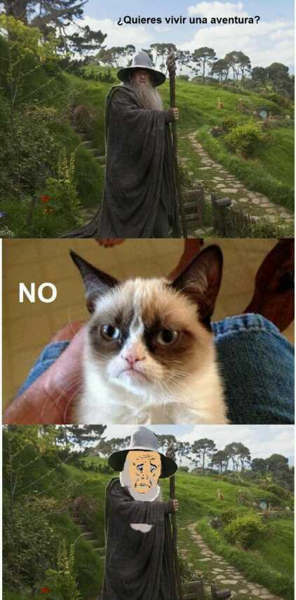NO - Meme by enriquegarcia.n8 :) Memedroid