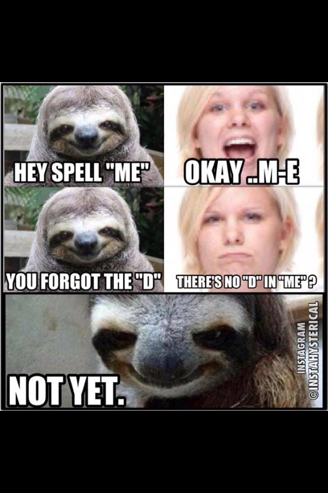 spell me - Meme by Elmake :) Memedroid