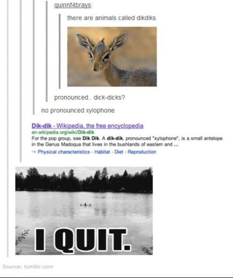 dick-dicks ;) - Meme by memegirl96 :) Memedroid