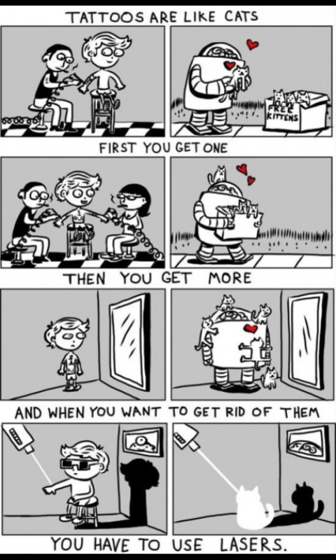 cats n roses - Meme by And1 :) Memedroid