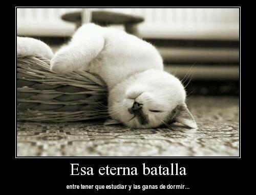 pereza sal de este cuerpo trabajador - Meme by Carlitox69 :) Memedroid