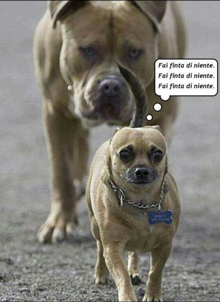 fai finta di niente ! - Meme by alciolo99 :) Memedroid