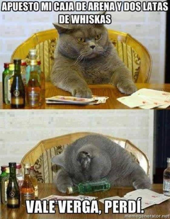 Apuestas -.- - Meme subido por SyNox :) Memedroid
