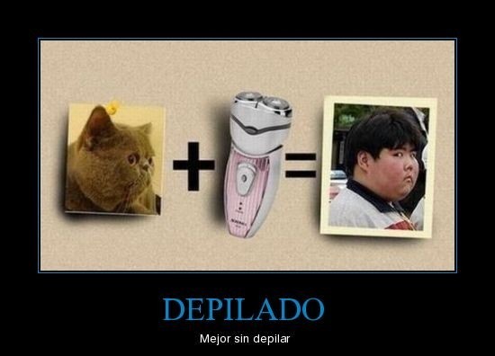 depilado - Meme subido por Cuso :) Memedroid