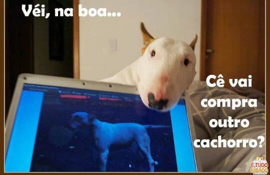 bigode - Meme by GabrielWecer :) Memedroid