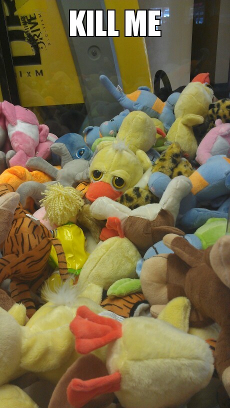 title says quack - Meme by lilmissashlyn :) Memedroid