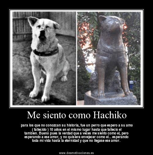 hachiko - Meme subido por ricardohurtadom :) Memedroid