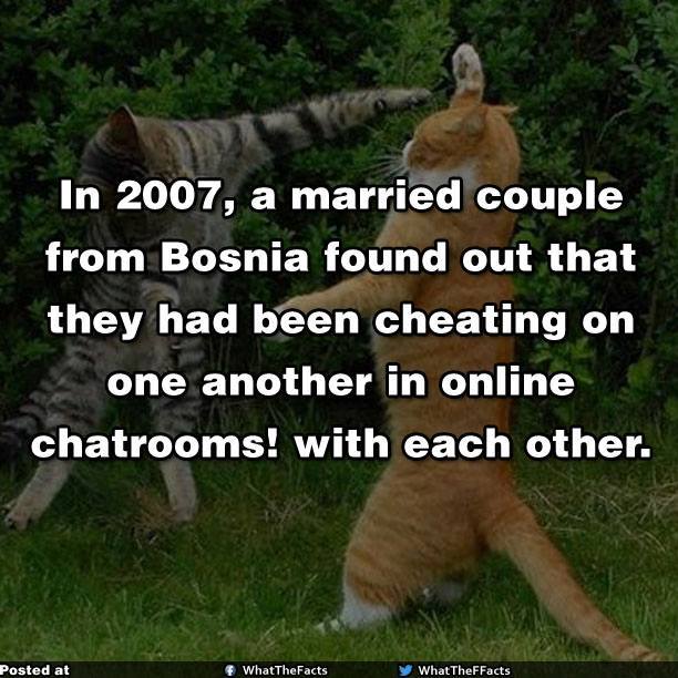 da fuq - Meme by Josegee :) Memedroid