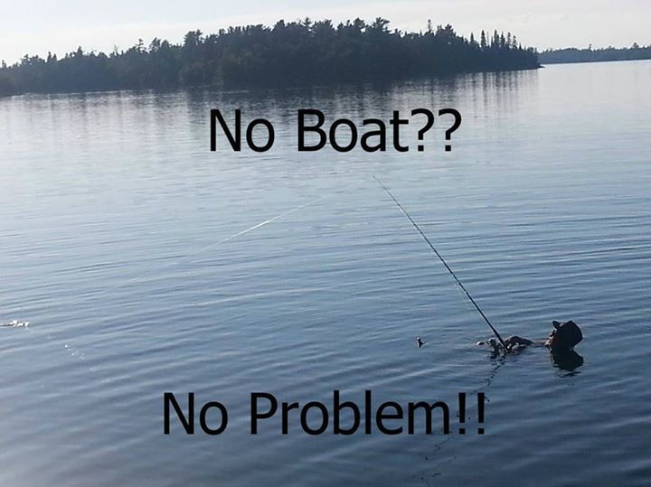 I hate fish - Meme by zak.hajjaoui :) Memedroid