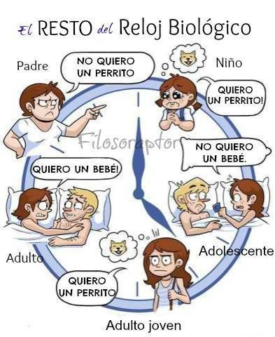 ciclo de la vida - Meme subido por ailingg90 :) Memedroid