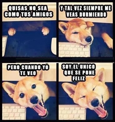 el único que me hace feliz - Meme subido por aranda.fraannk :) Memedroid