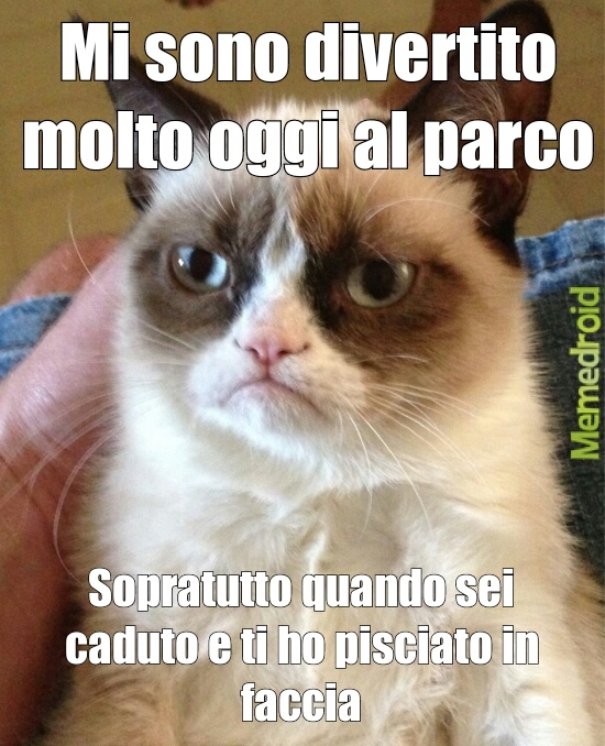 gatto - Meme by piscedda52 :) Memedroid