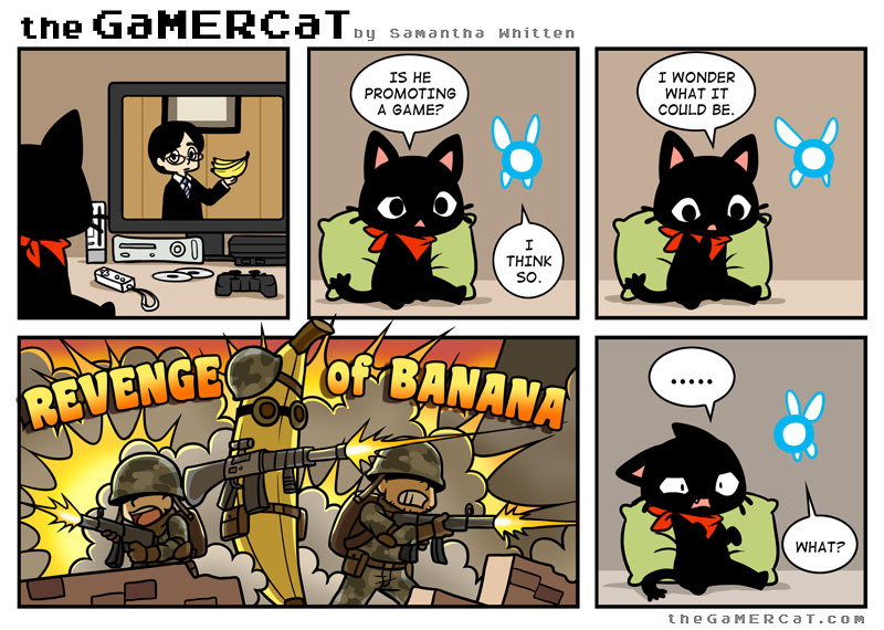 Gamercat 10 - Meme by Rapid62 :) Memedroid