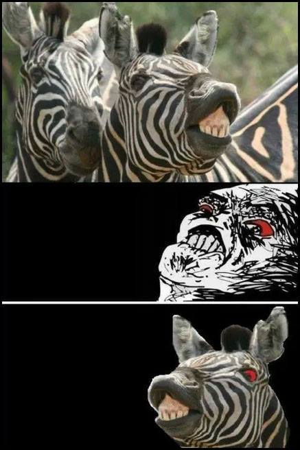 zèbre - Meme by lauryngonzalez.lg :) Memedroid