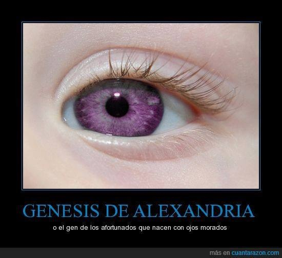 viñeta original MG - Meme subido por jimenuchi12 :) Memedroid