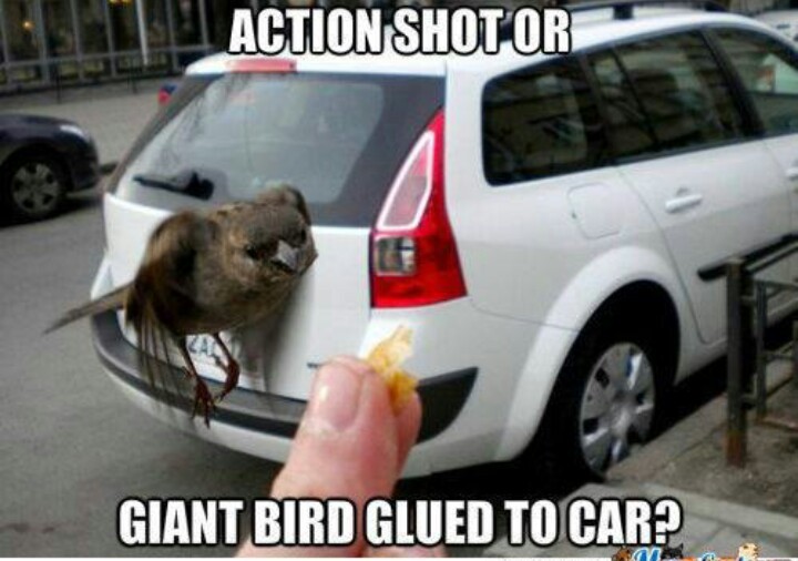 Shooting Car Memes Drive By Shooting GIFs | Tenor