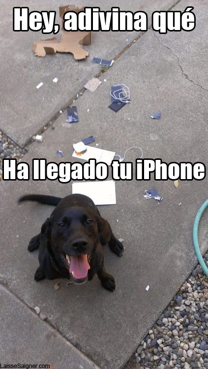 asi que llego tu iphone 5? - Meme subido por jmmraptor :) Memedroid