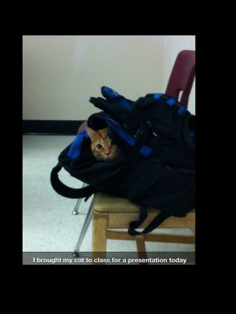 Presenting - Meme by sir_jambag :) Memedroid