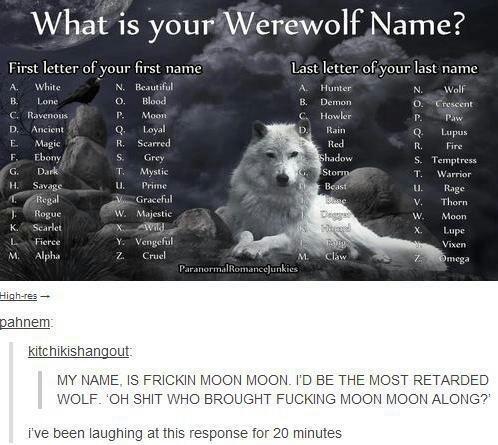 damn moon moon. - Meme by arcticslug :) Memedroid