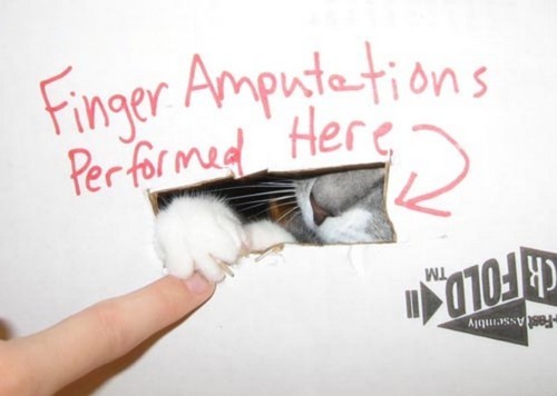 Finger Licking Good - Meme by Sparkle_Slut :) Memedroid