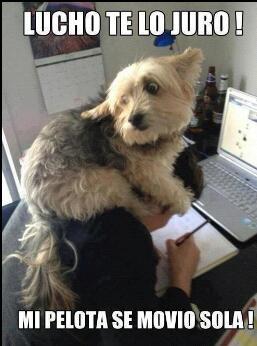 lucho! - Meme by CR007 :) Memedroid