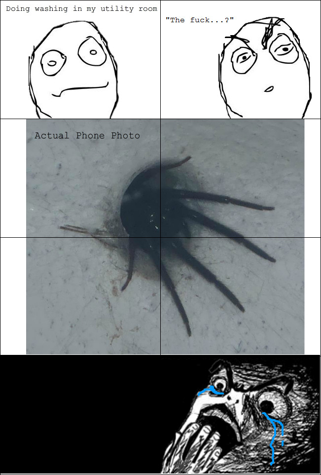 nope nope nope - Meme by jzoo416 :) Memedroid