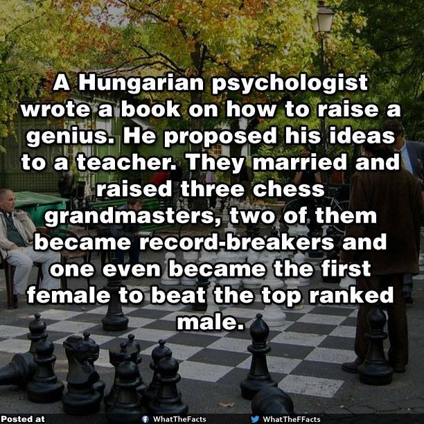 pfft, chess genius? - Meme by Smasher9a :) Memedroid
