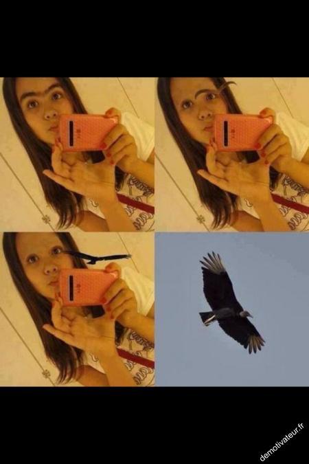 Vole ..!!! - Meme by BOUBOU :) Memedroid