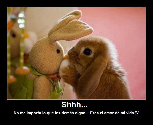 te quiero - Meme subido por lucia1000 :) Memedroid