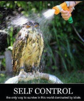 Self Control - Meme subido por elizsanti :) Memedroid