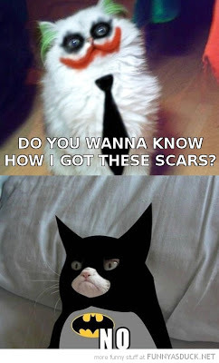 Catman nananana - Meme by uru.23 :) Memedroid