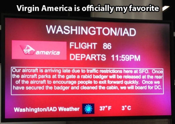 rabid badger wrf?? - Meme by brianyang13 :) Memedroid