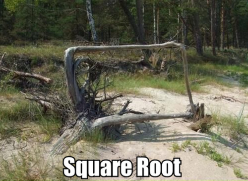 Roots... - Meme subido por NathLOL :) Memedroid