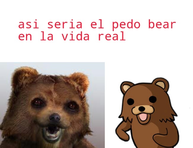 Peado Bear Memes New Men's Room Hygiene Poster Funny Post Imgur