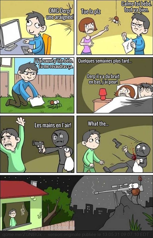 Araigné - Meme by Double Testeur :) Memedroid