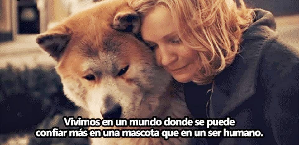 eso es cierto :/ - Meme subido por aranda.fraannk :) Memedroid