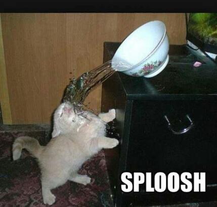 sploosh . - Meme by kittygoesmoo6 :) Memedroid
