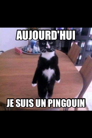 Pingouin - Meme by Keep :) Memedroid
