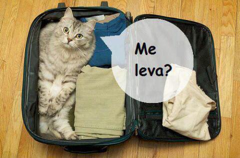 Me leva.? - Meme by coca07 :) Memedroid
