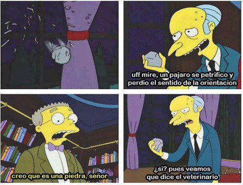 pajarito petrificado - Meme subido por heavymetallover995 :) Memedroid
