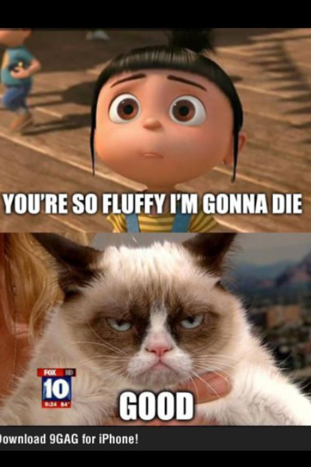 Good!!! - Meme subido por gina_rejoice :) Memedroid