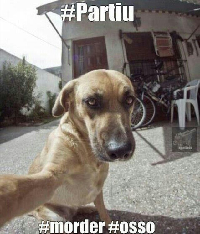 partiu - Meme by anasorrisometalico :) Memedroid