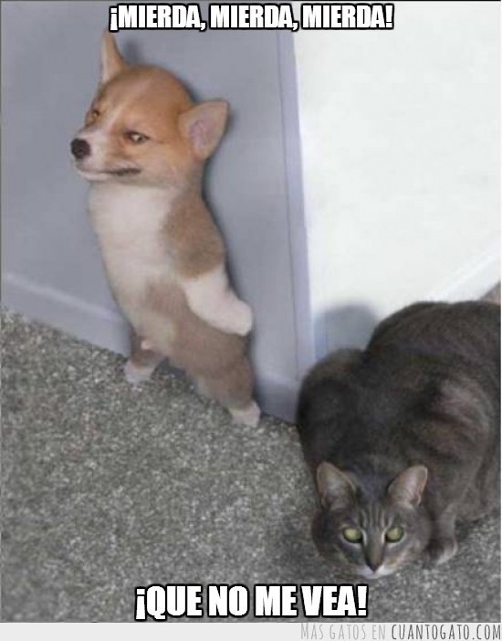 que no me vea - Meme subido por Hiil :) Memedroid