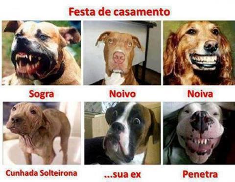 Como pessoas e caes - Meme subido por xigor234 :) Memedroid