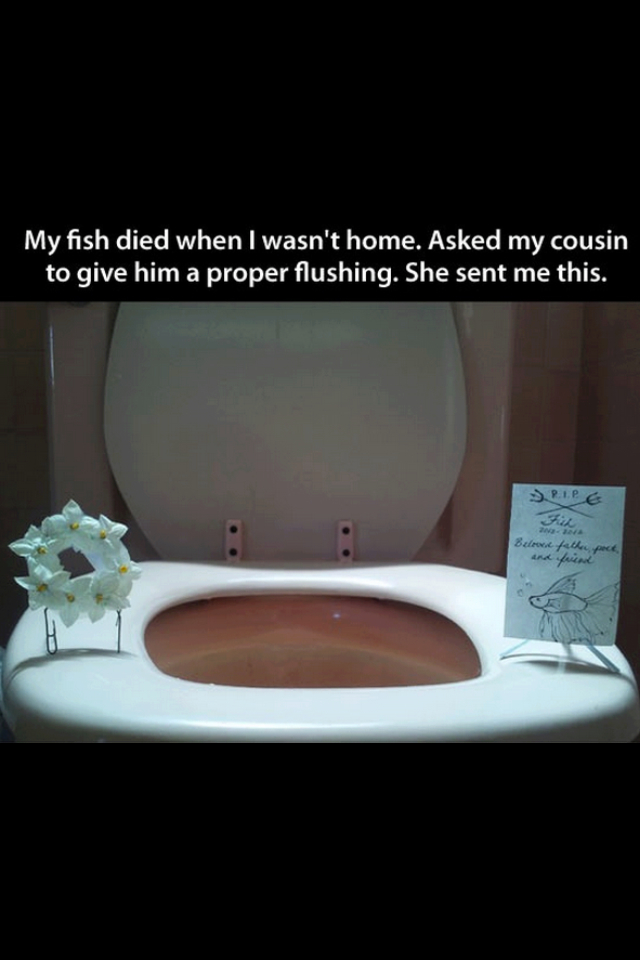 RIP fish - Meme by justcheezinxit :) Memedroid