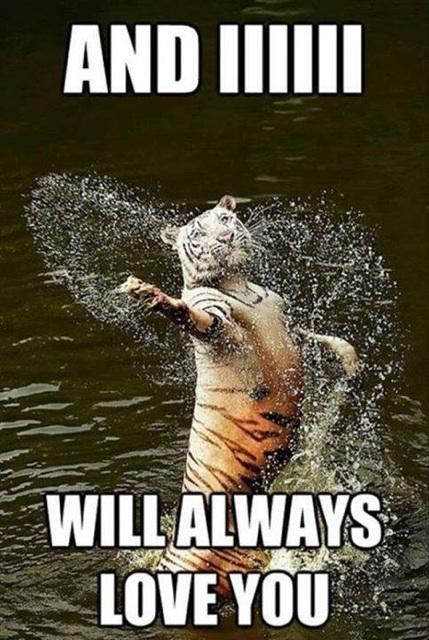 rawr - Meme by cowmuffin :) Memedroid