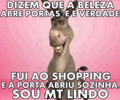 burro - Meme subido por gpires340 :) Memedroid