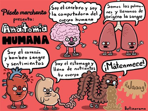 ese intestino es yn loquillo - Meme by safina91 :) Memedroid