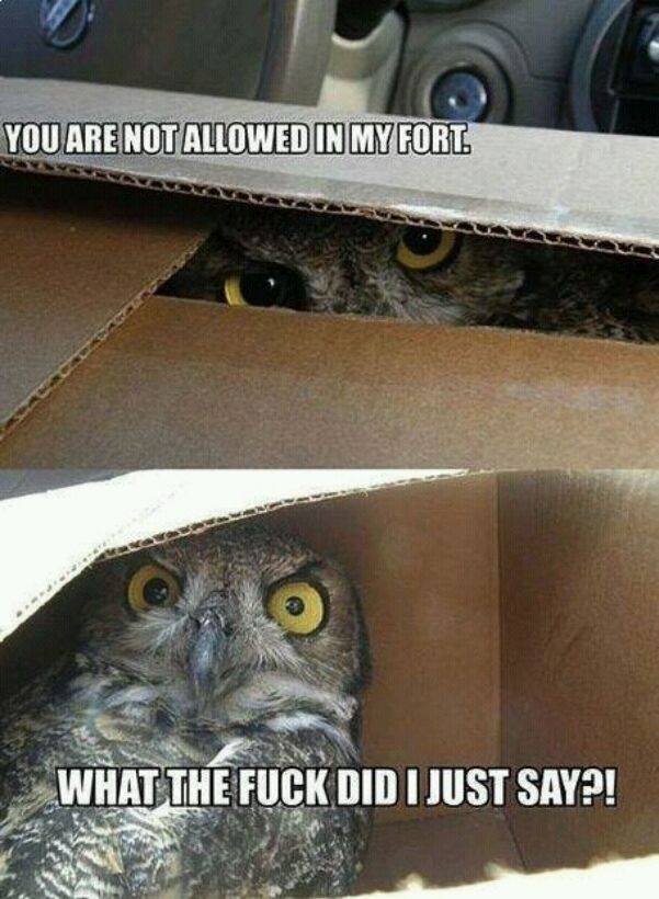 north korea is part of the us govt. - Meme by Xeronikz :) Memedroid