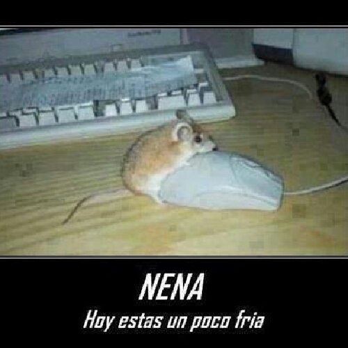oh si nena - Meme subido por jfvaldivieso30 :) Memedroid